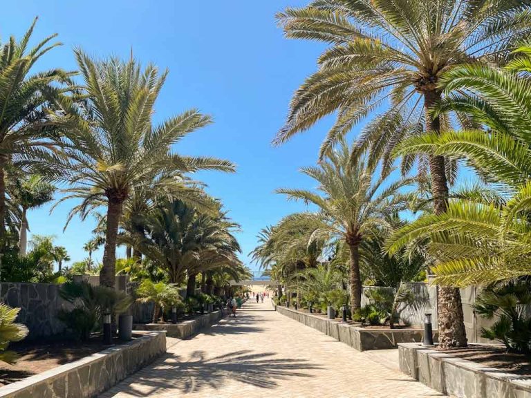 Dunas de Maspalomas: guía completa y consejos 2026